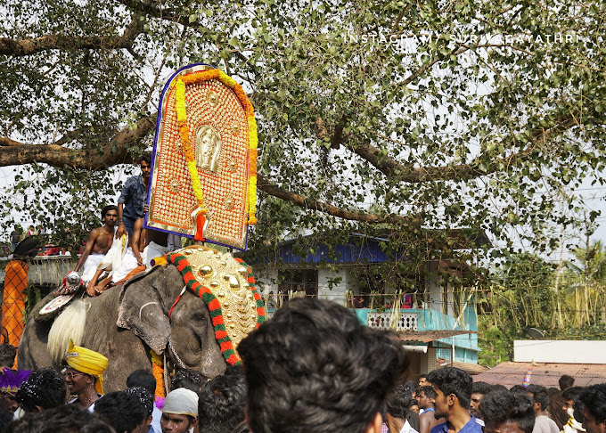 Kartika Vela 2026 | Varavoor Palakkal Bhagavathi Temple Chalakudy Thrissur