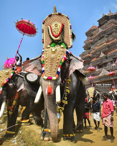 Uthralikavu Pooram | Sree Ruthira Mahakalikavu Temple Thrissur